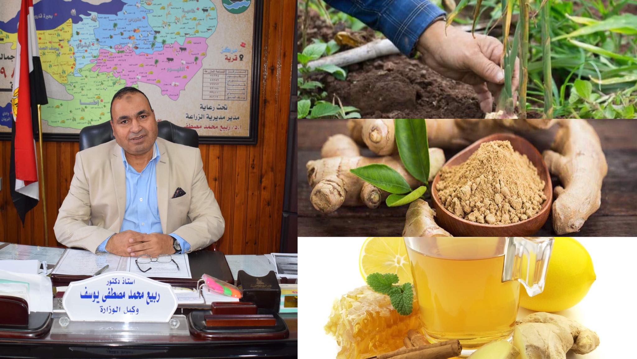 الزنجبيل.. أنواعه وكيفية زراعته وفوائده المُذهلة في علاج الأمراض ...